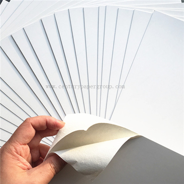 C1S Ivory Board & FBB from China manufacturer - Century Paper Group Co.,Ltd