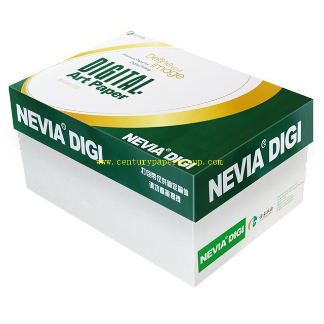 Gold East Nevia/Hi-Kote Quality Gloss And Matt Coated Art Paper from ...