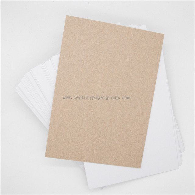 White Grey Back Duplex Board,Duplex Grey Back Duplex Board-Century Paper
