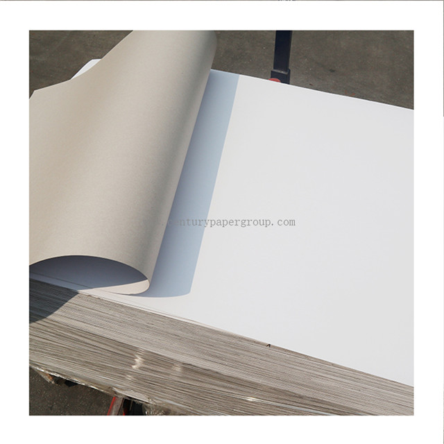 White Grey Back Duplex Board,Duplex Grey Back Duplex Board-Century Paper
