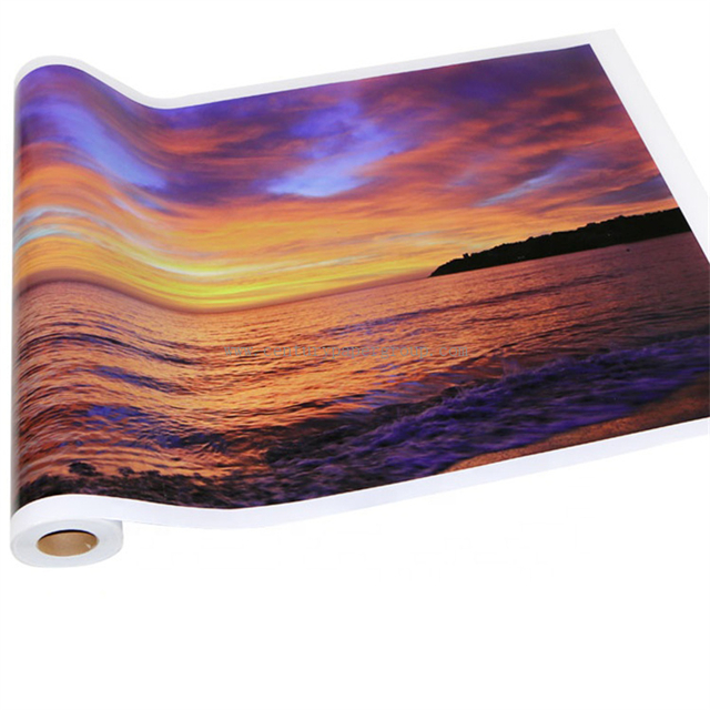 Printable Car Vinyl Roll for Advertisement Glossy Matte Surface ...