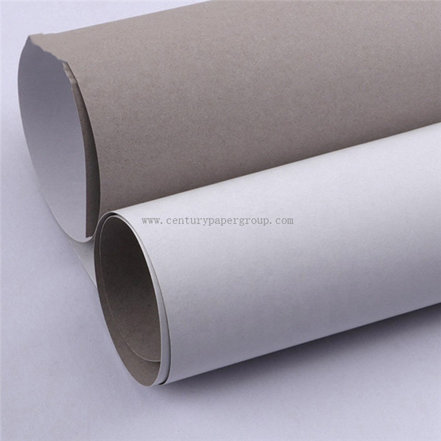 White Grey Back Duplex Board,Duplex Grey Back Duplex Board-Century Paper