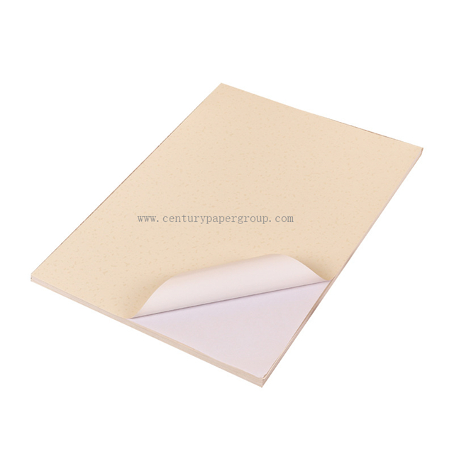 China 80GSM Coated Cast Gloss paper manufacturers, 80GSM Coated Cast ...
