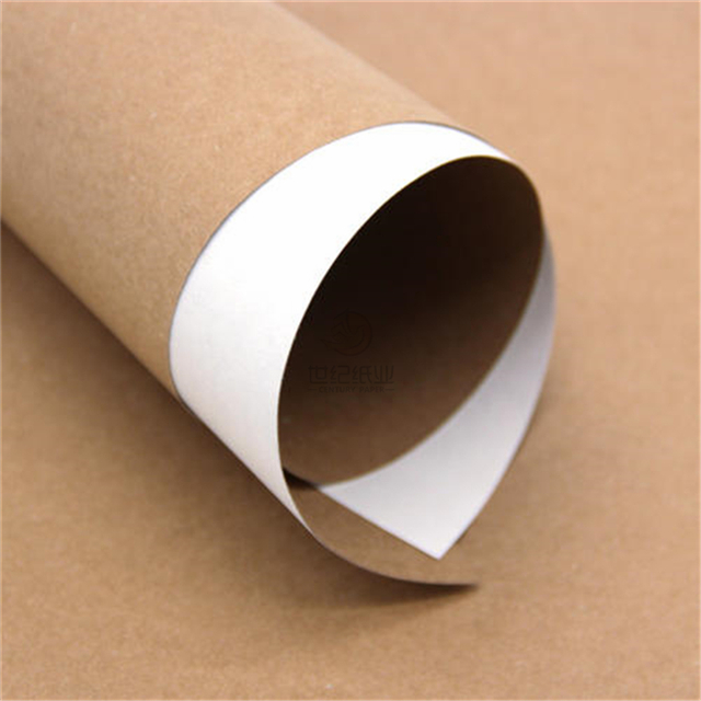 Food Grade 250GSM 300GSM White Top Kraft Back Paper Printable Food ...